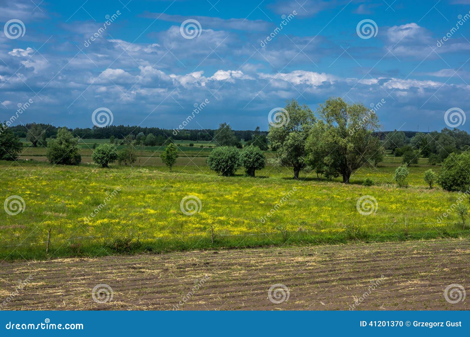 Meadows and fields stock photo. Image of tree, natural - 41201370