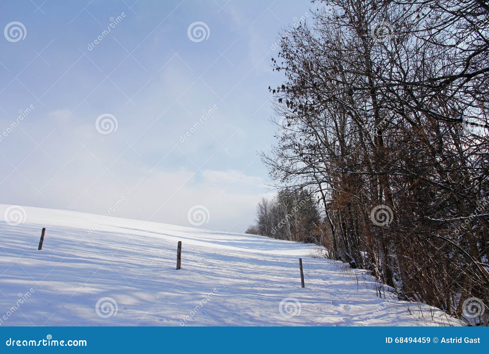 Meadows and Fields in Winter Stock Image - Image of frost, hill: 68494459