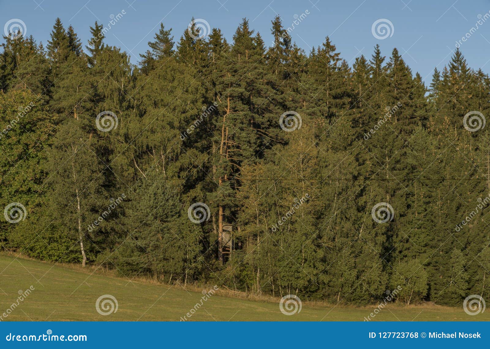 Meadows and Forest in Sumava National Park Stock Photo - Image of ...