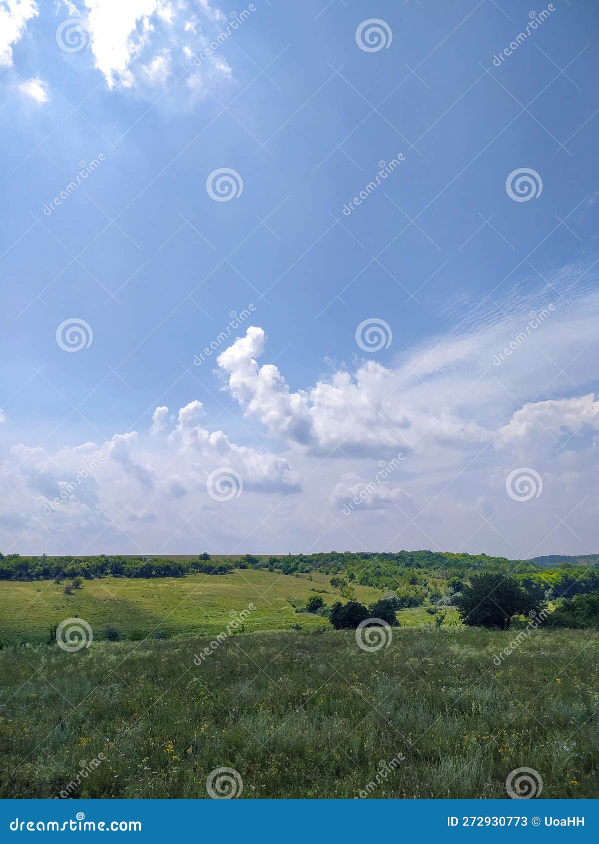 Meadows and Forests Landscape with Cloudy Sky Stock Image - Image of ...