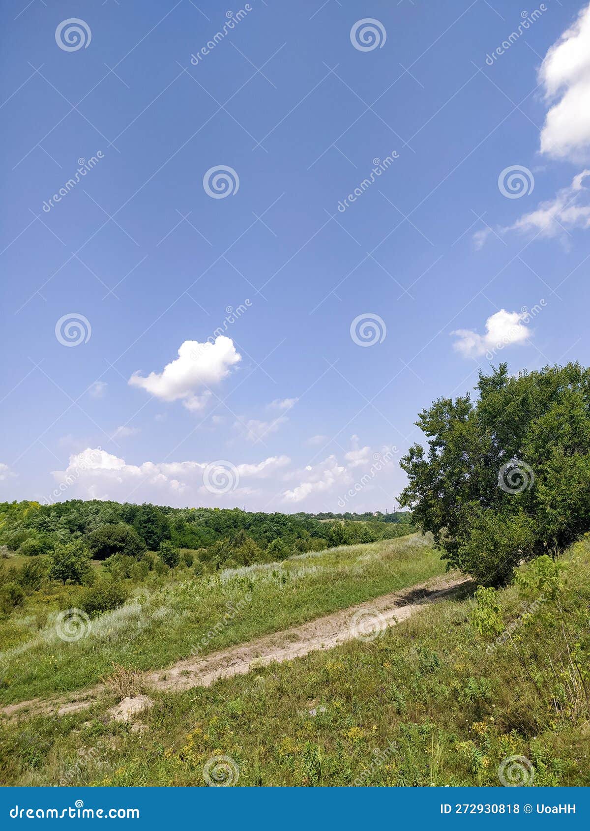 Meadows and Forests Landscape with Cloudy Sky Stock Photo - Image of ...