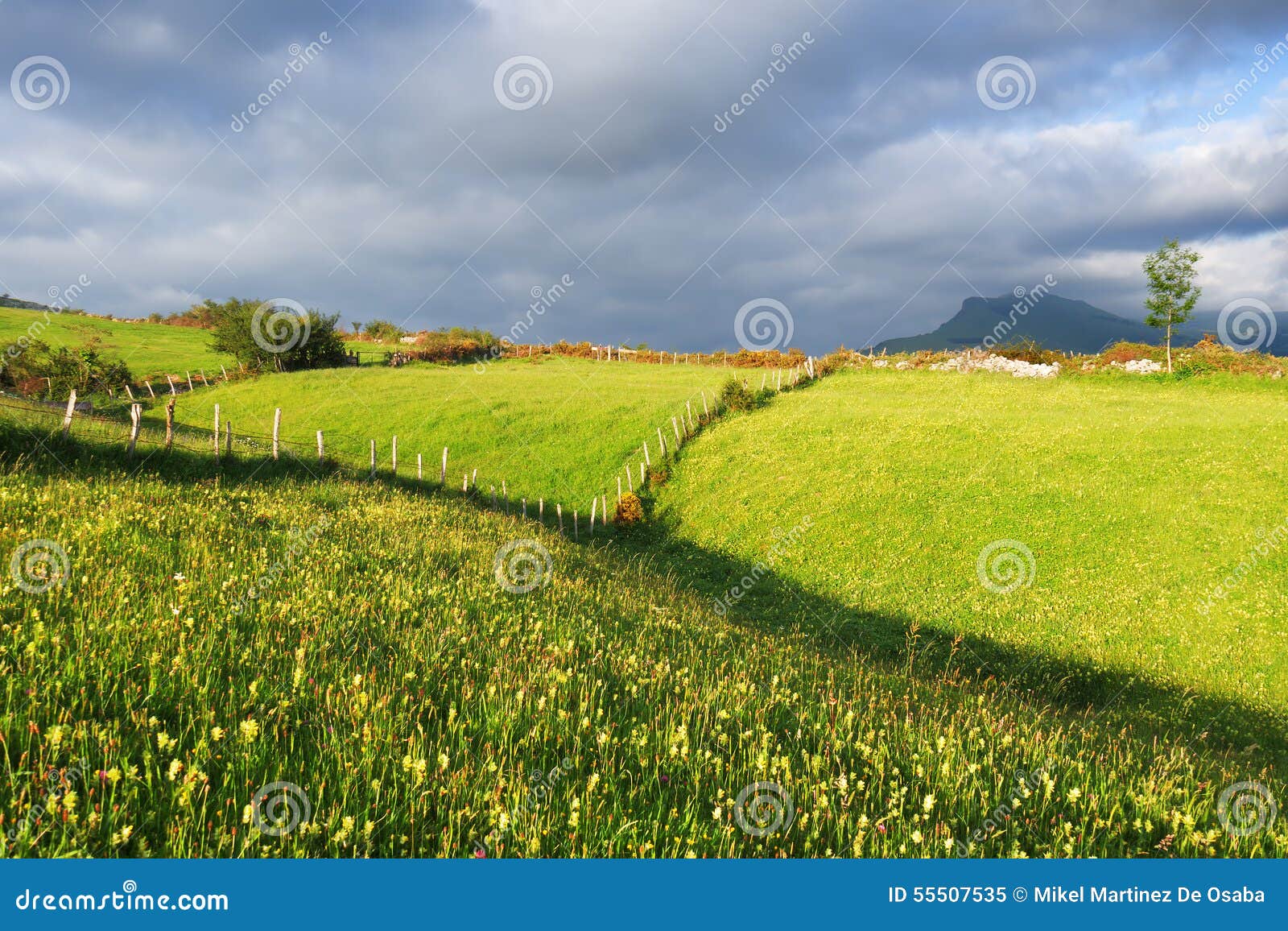 Meadows and hills stock image. Image of green, spring - 55507535