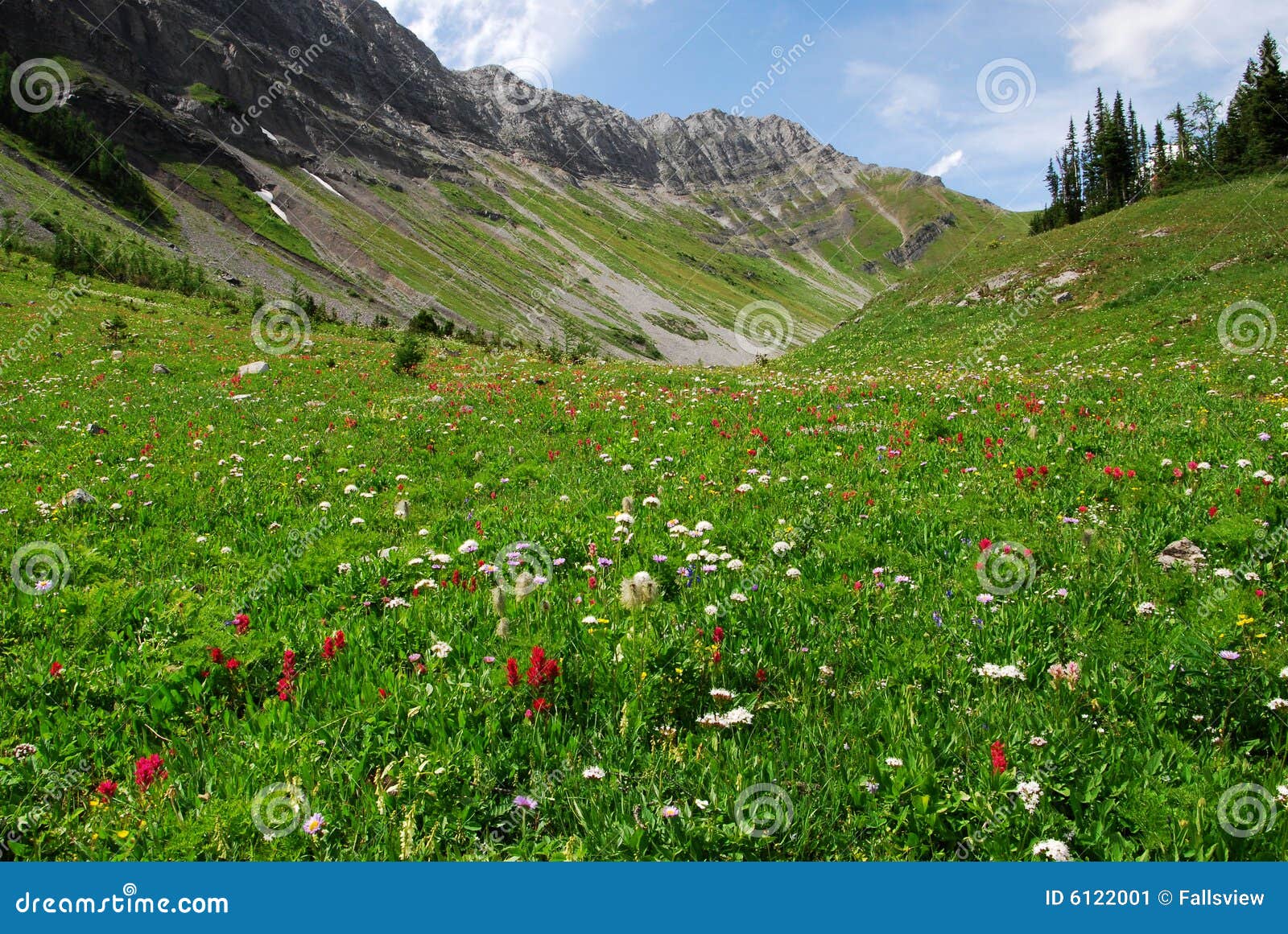 Meadows on mountain top stock image. Image of incline - 6122001