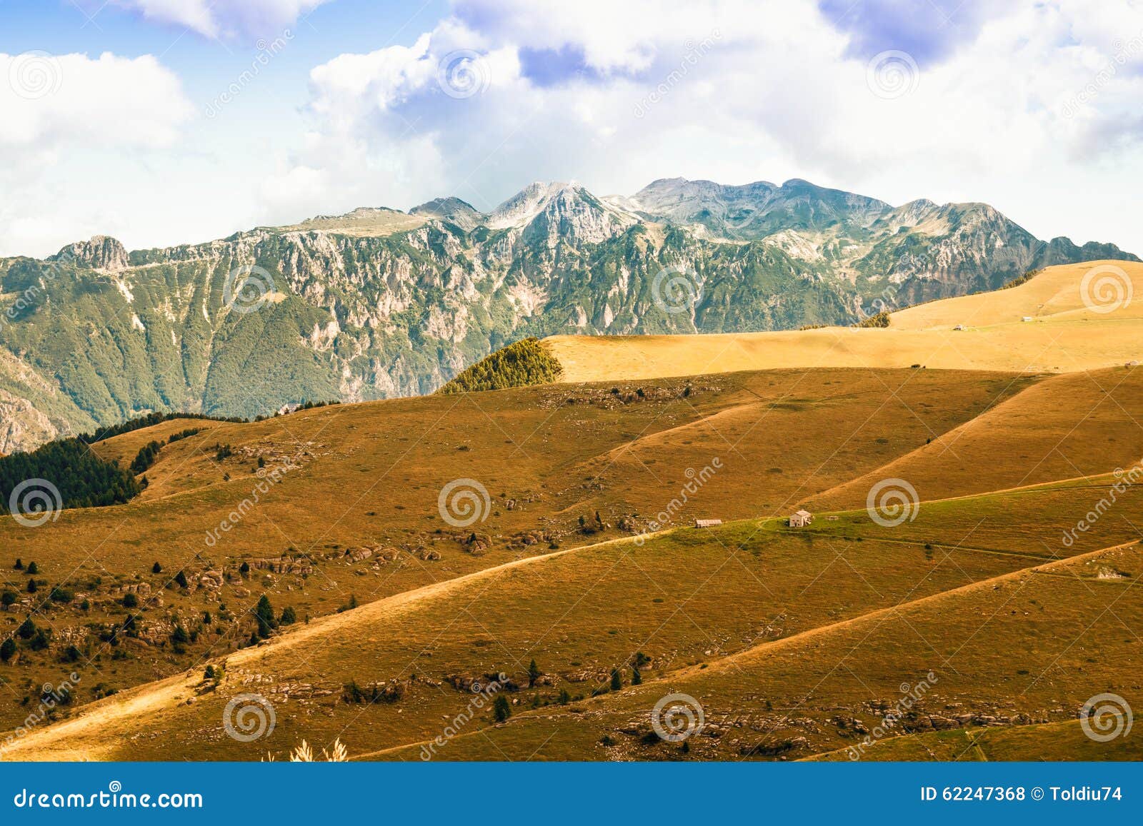 Meadows in the Mountains Create Sinuous Lines. Stock Photo - Image of ...