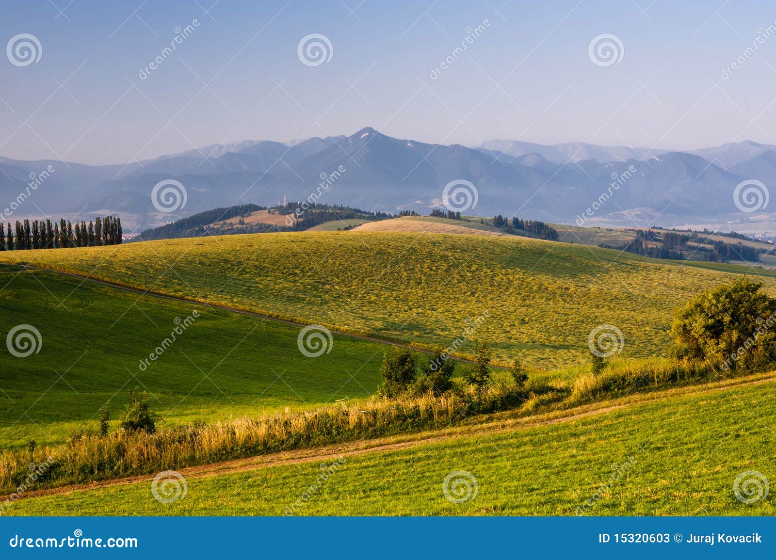 Meadows in sunrise stock image. Image of mountains, blue - 15320603