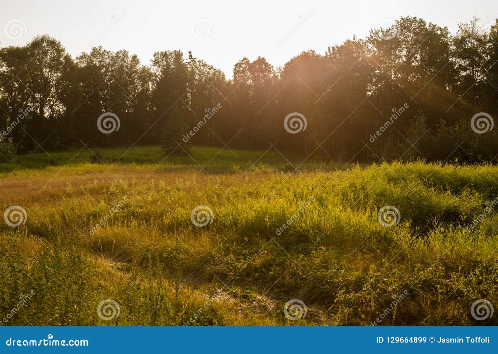 Meadows at Sunset stock image. Image of sunlight, rural - 129664899
