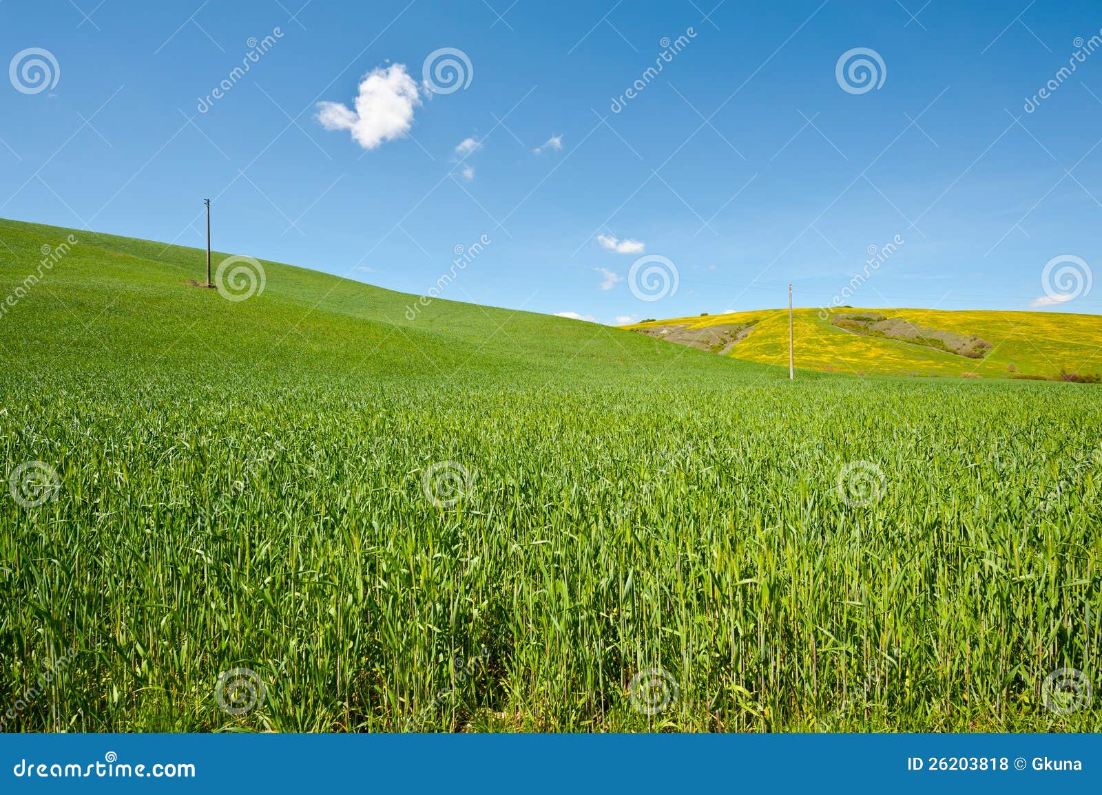 Meadows of Tuscany stock photo. Image of agriculture - 26203818