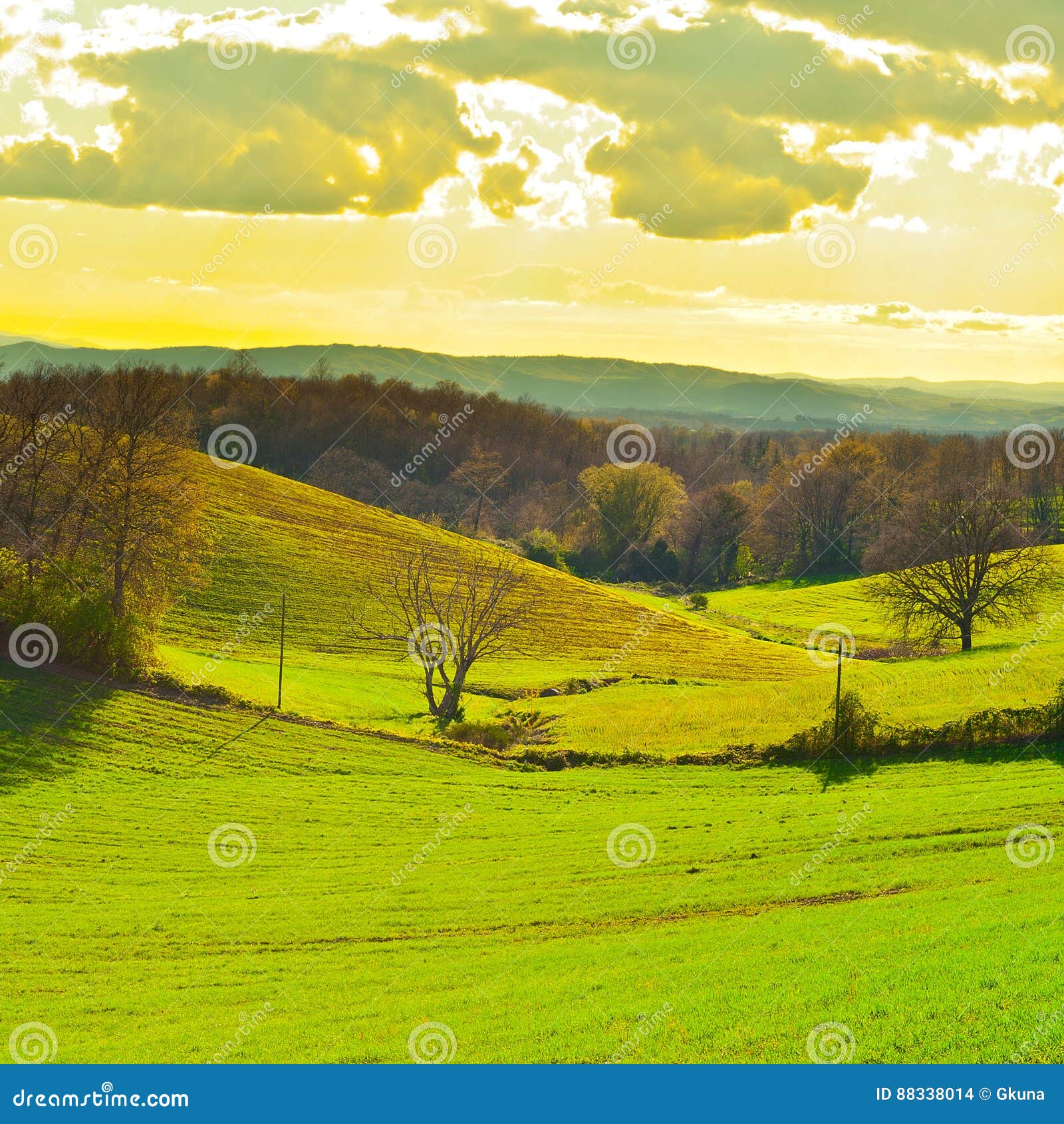 Meadows of Tuscany stock photo. Image of hill, mountain - 88338014