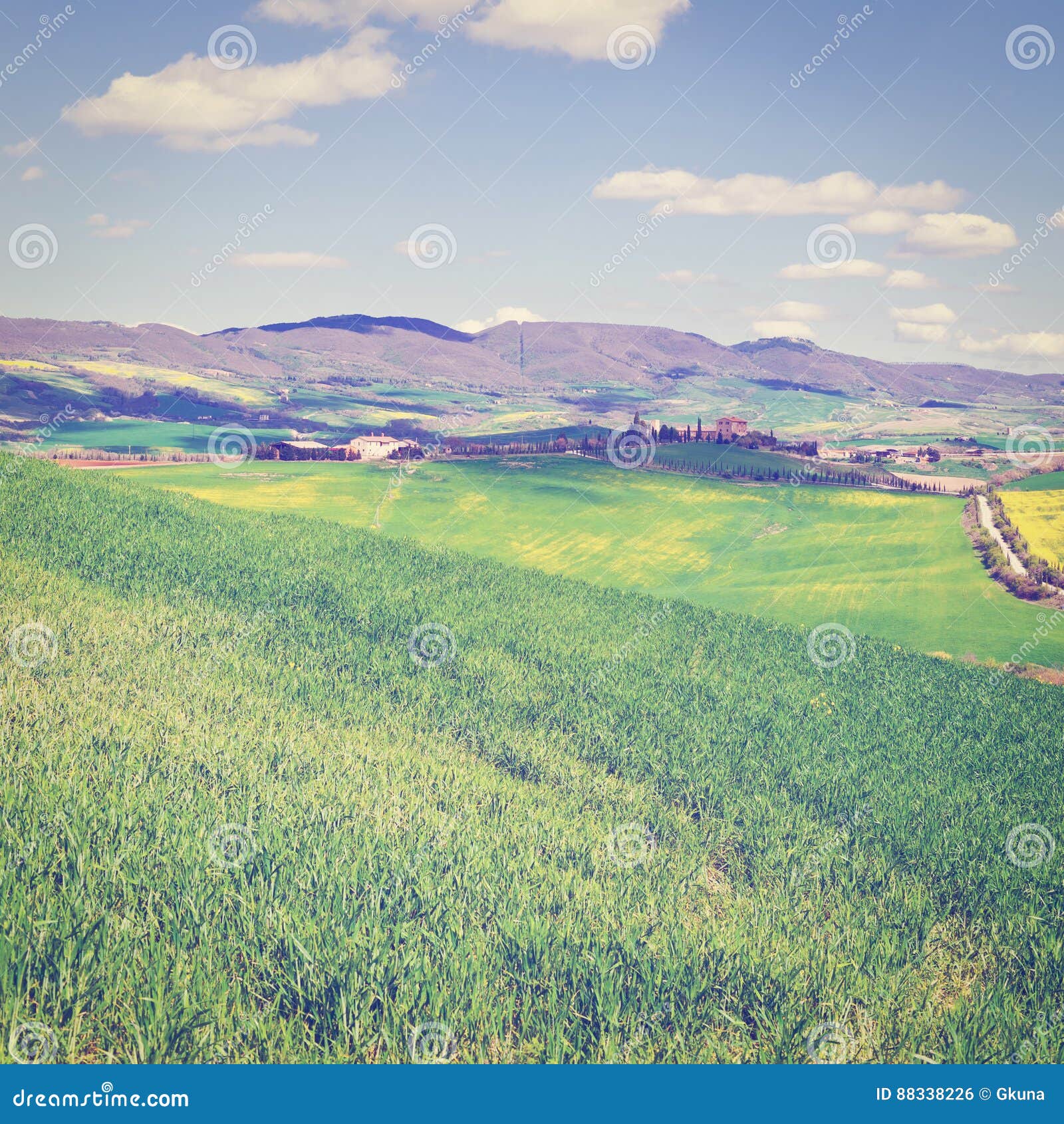 Meadows of Tuscany stock photo. Image of cypress, country - 88338226