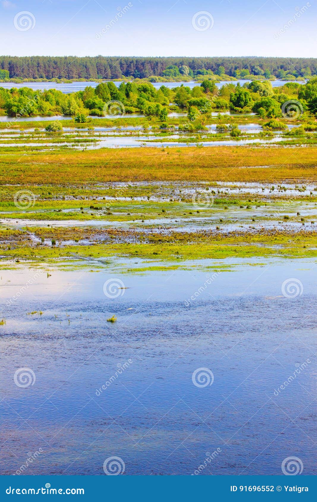 Meadows Under a Clear Spring Sky Stock Photo - Image of grass, forest ...