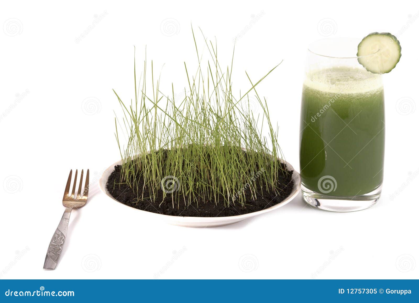 Meal from a chlorophyll. stock image. Image of eating - 12757305