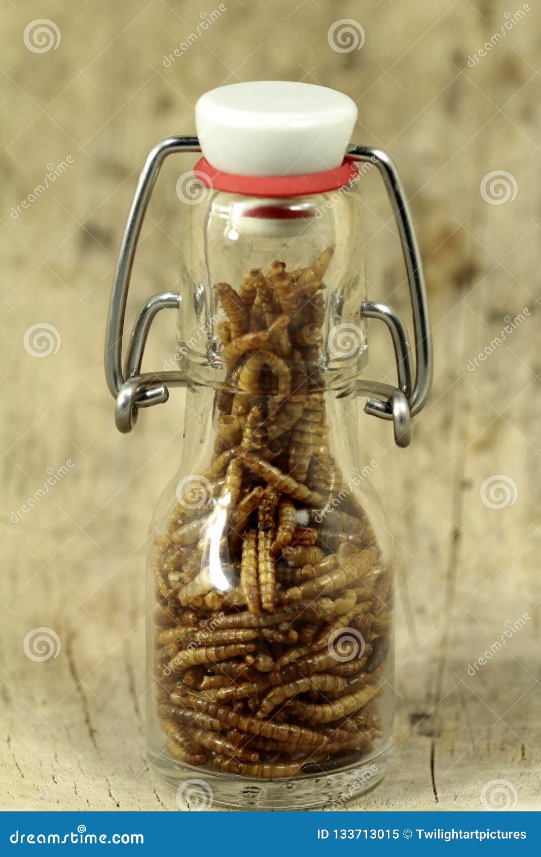 Mealworms, Pur Proteine in the Bottle Stock Image - Image of black ...