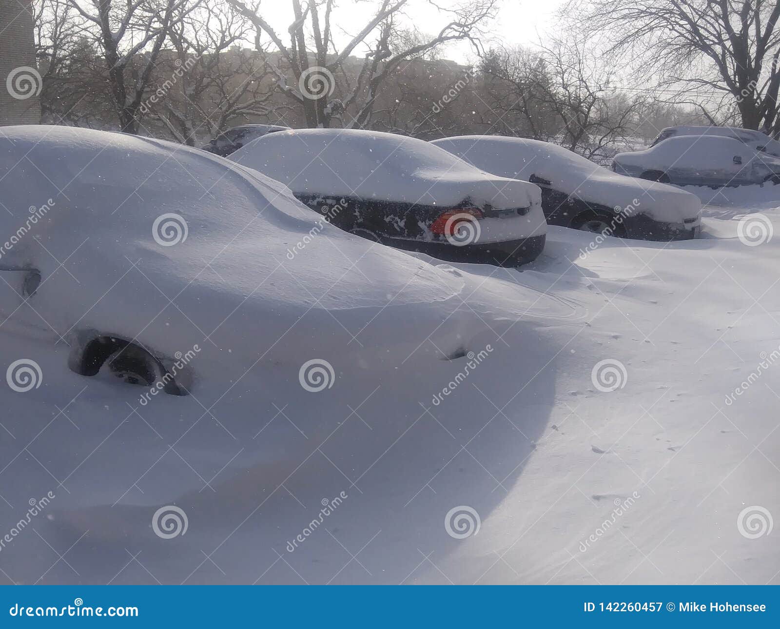 Mean looking Snowdrift stock image. Image of looking - 142260457