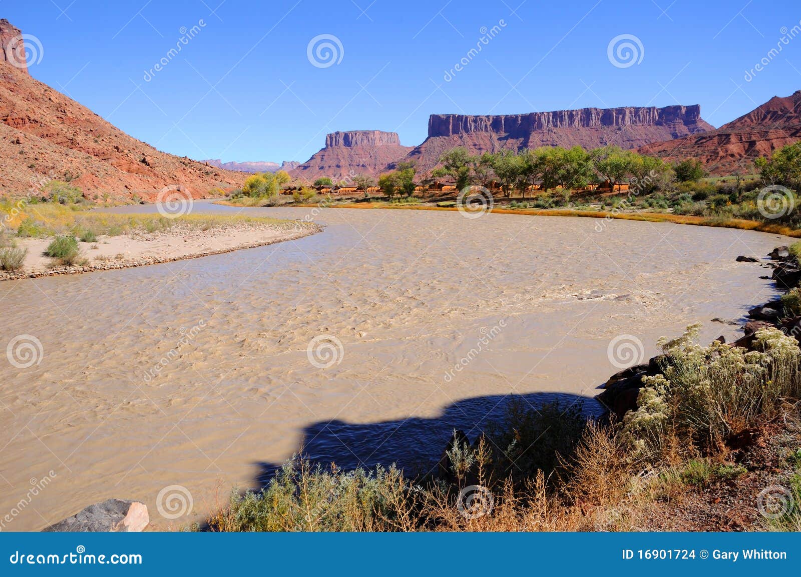 Meander in Colorado River stock photo. Image of erosion - 16901724