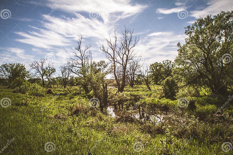 Meander cutoff of a river stock photo. Image of green - 110785046
