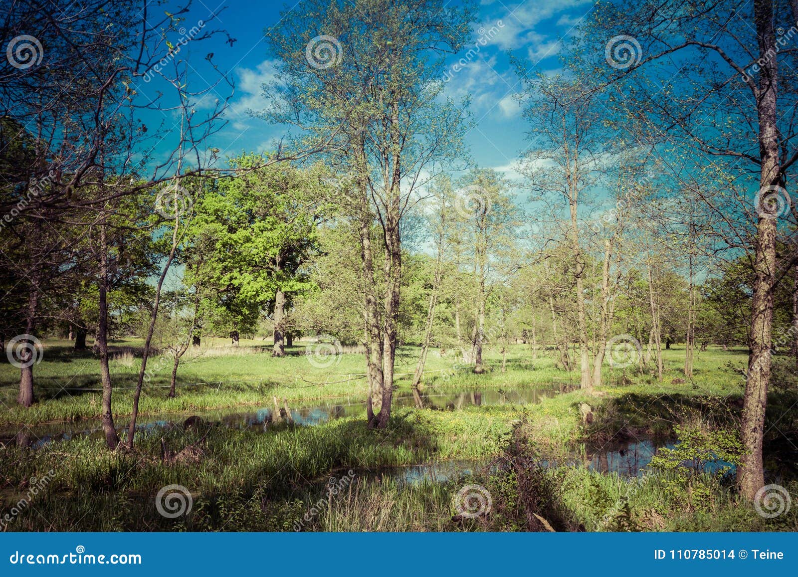 Meander cutoff of a river stock photo. Image of cloud - 110785014
