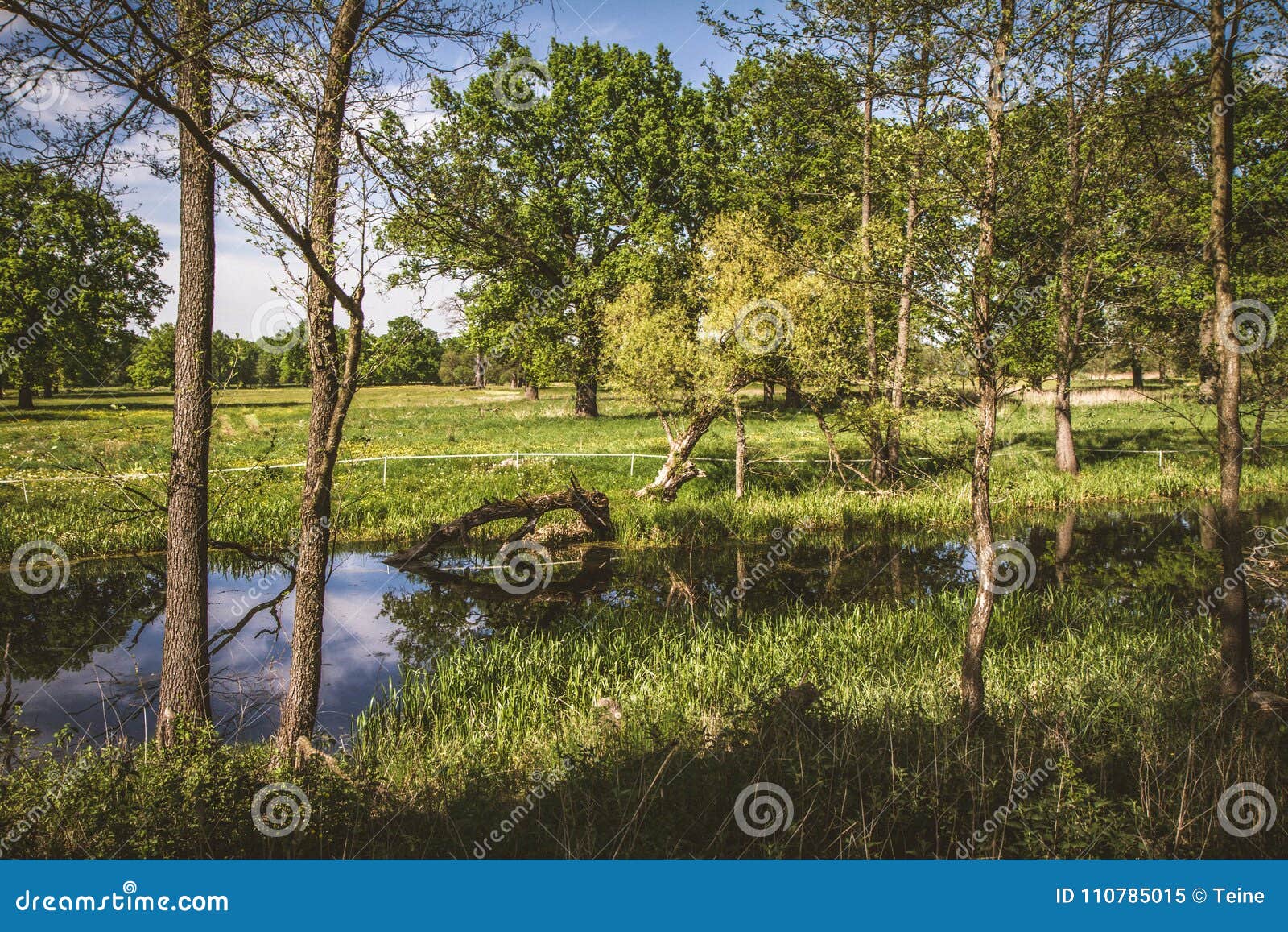 Meander cutoff of a river stock image. Image of ferry - 110785015
