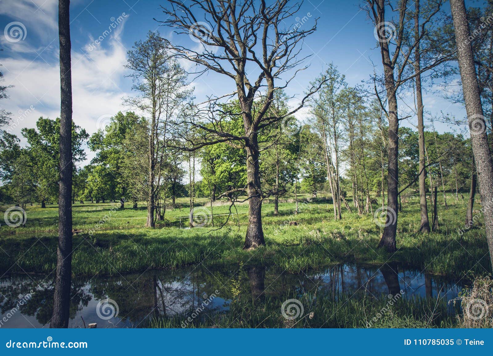 Meander cutoff of a river stock image. Image of nature - 110785035