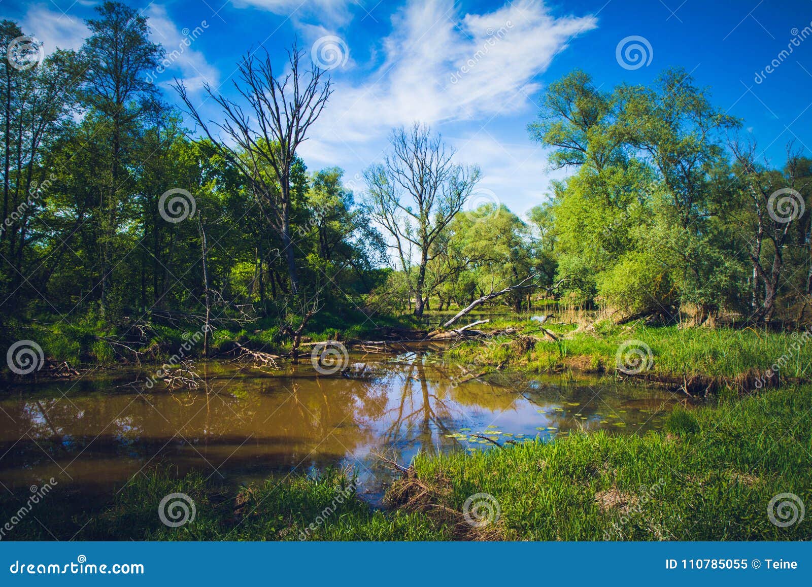 Meander cutoff of a river stock image. Image of river - 110785055