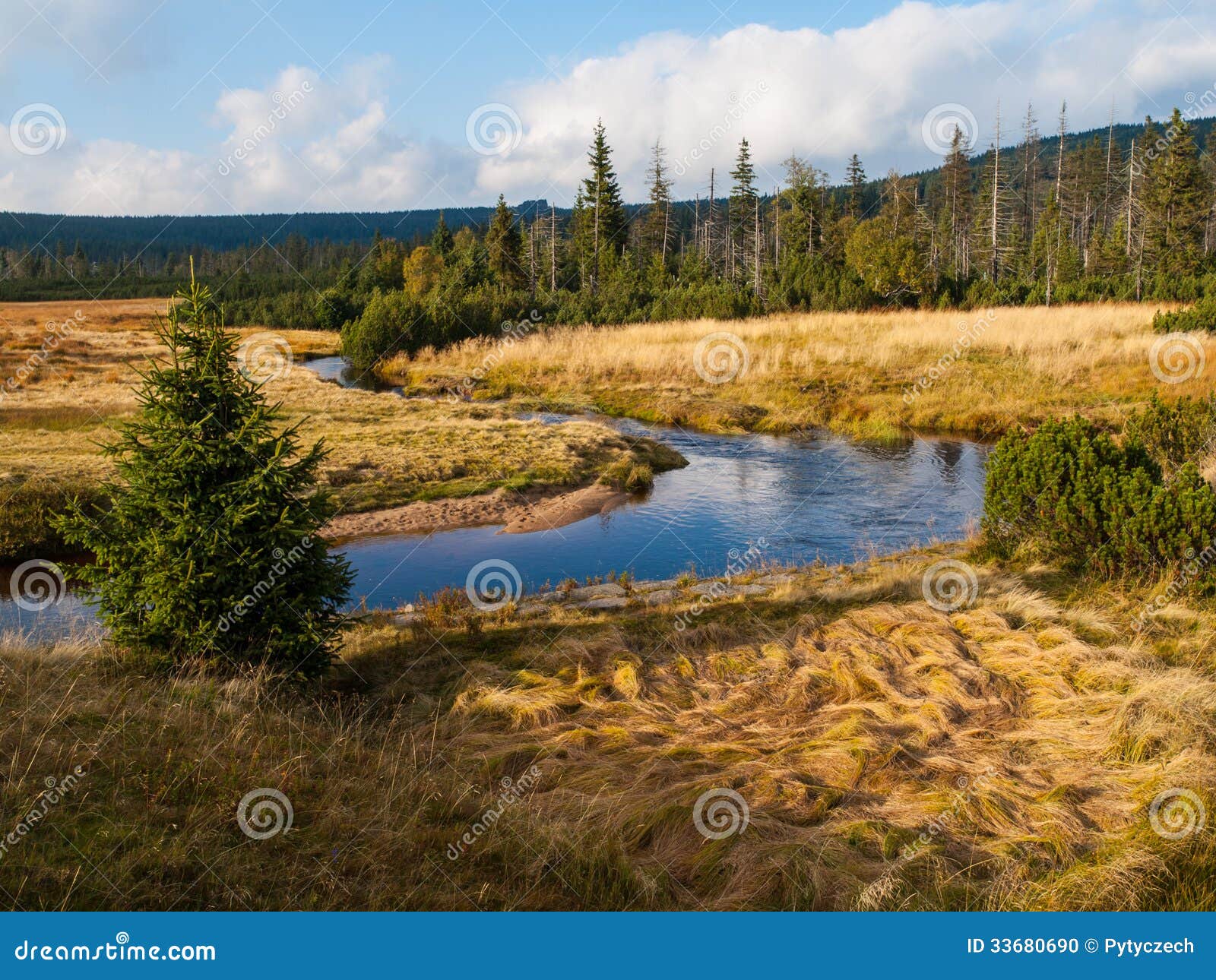Meander of Jizerka creek stock photo. Image of grass - 33680690