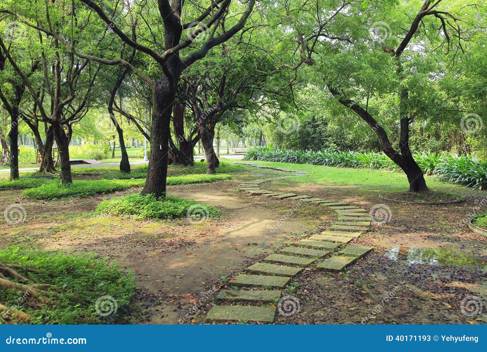 The Meander Walk Path in Park Stock Image - Image of peaceful, forest ...