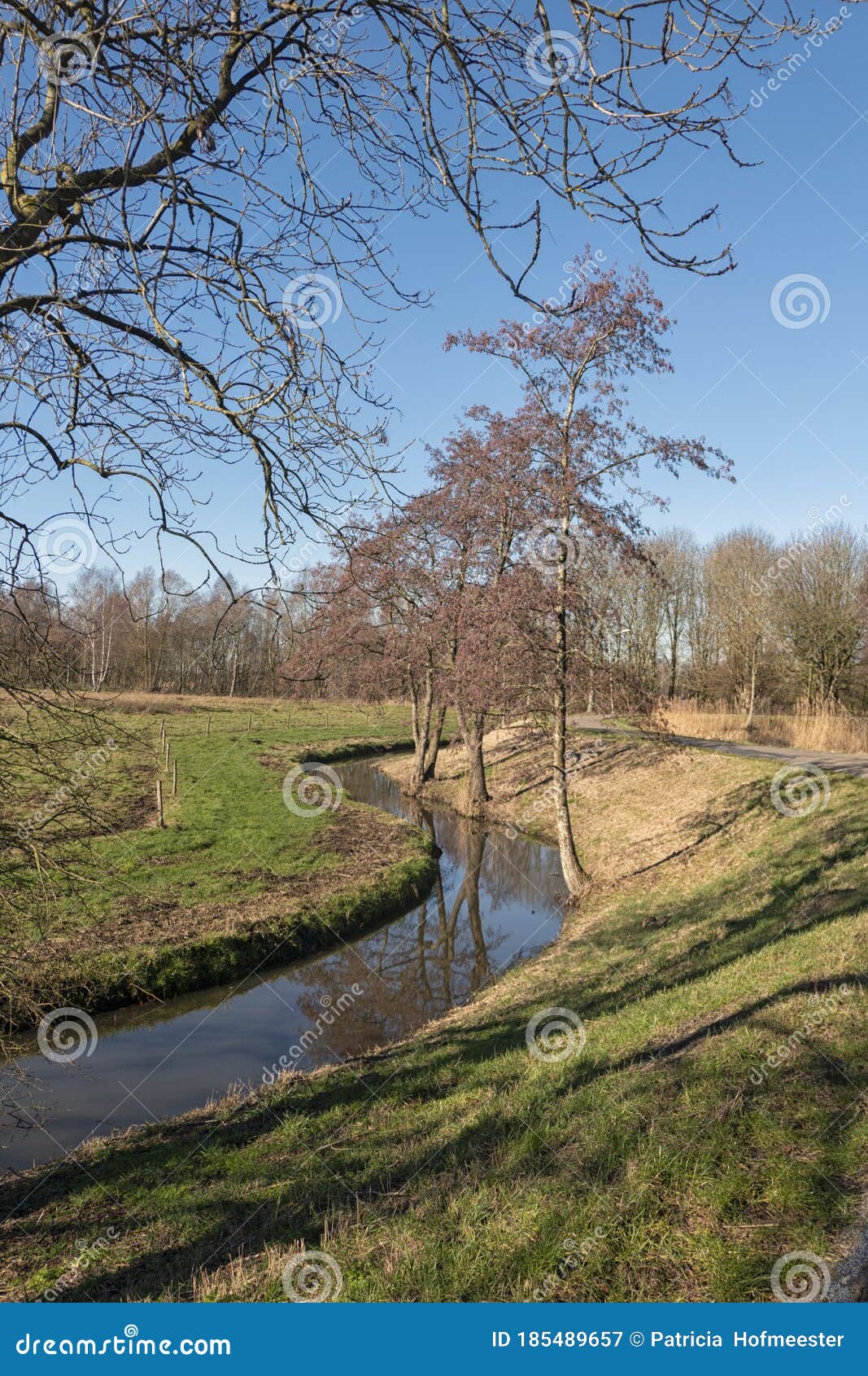 Meandering Brook in Winter Landscape I Stock Image - Image of borders ...