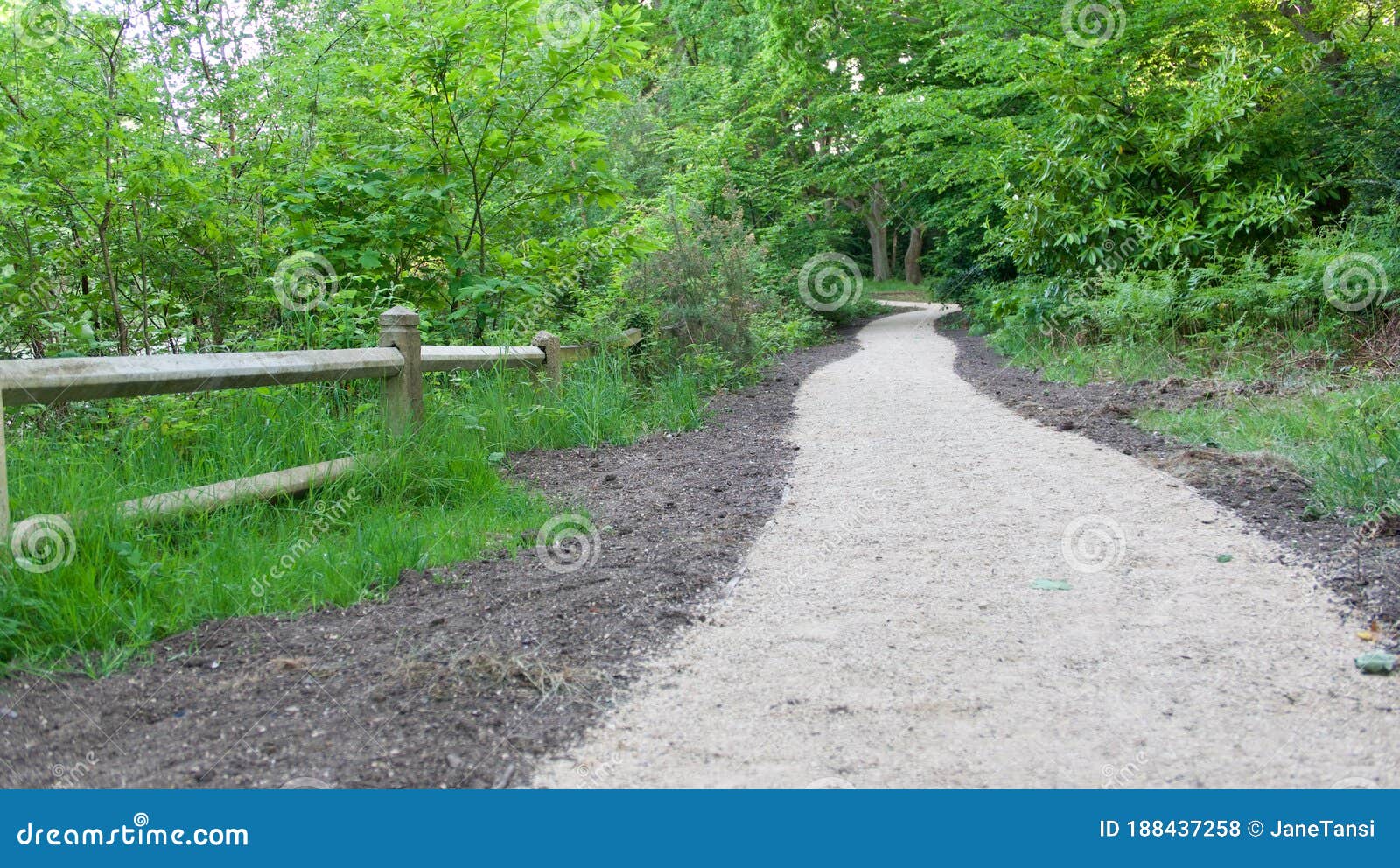 Meandering Path Leading into the Woods with Space for Copy Stock Photo ...