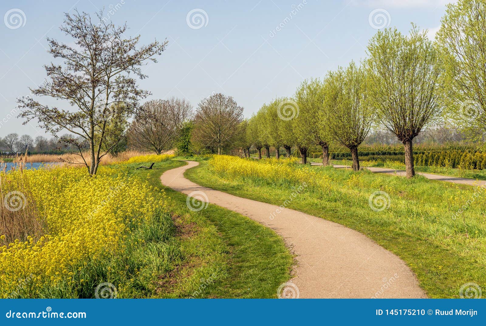 Meandering Path in Springtime Stock Photo - Image of countryside ...