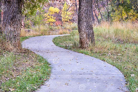 Meandering path in woods stock image. Image of park - 128724599
