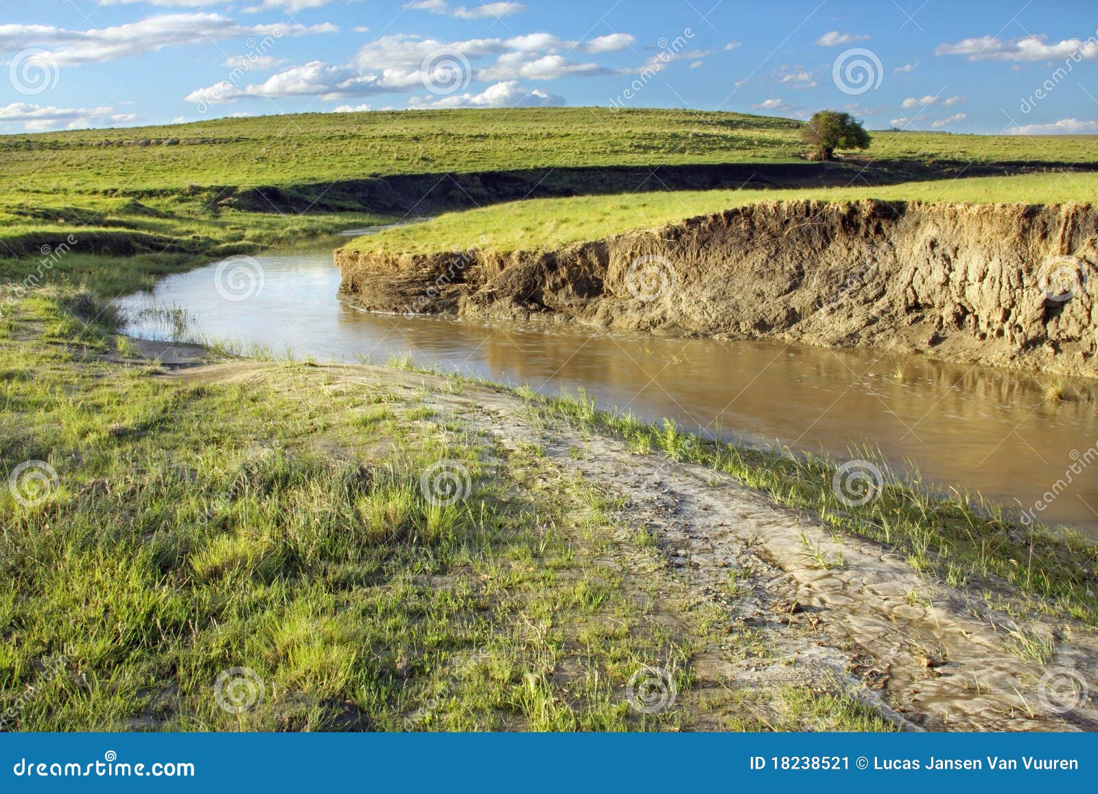 Meandering river stock image. Image of meadow, green - 18238521