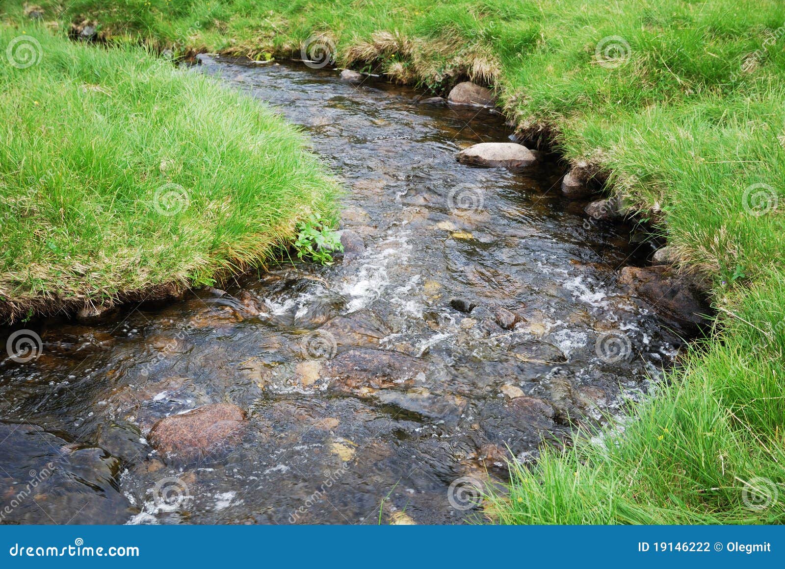 Meandering Brook Boven Slinge In Primeval Forest Bekendelle Near ...