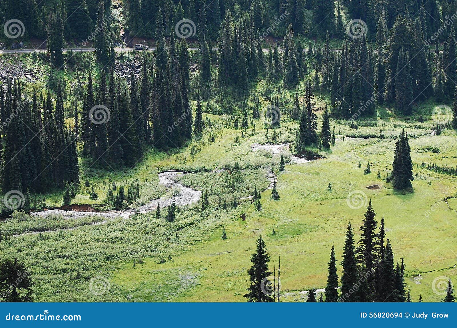 Meandering Stream in a Meadow Stock Photo - Image of northwest ...
