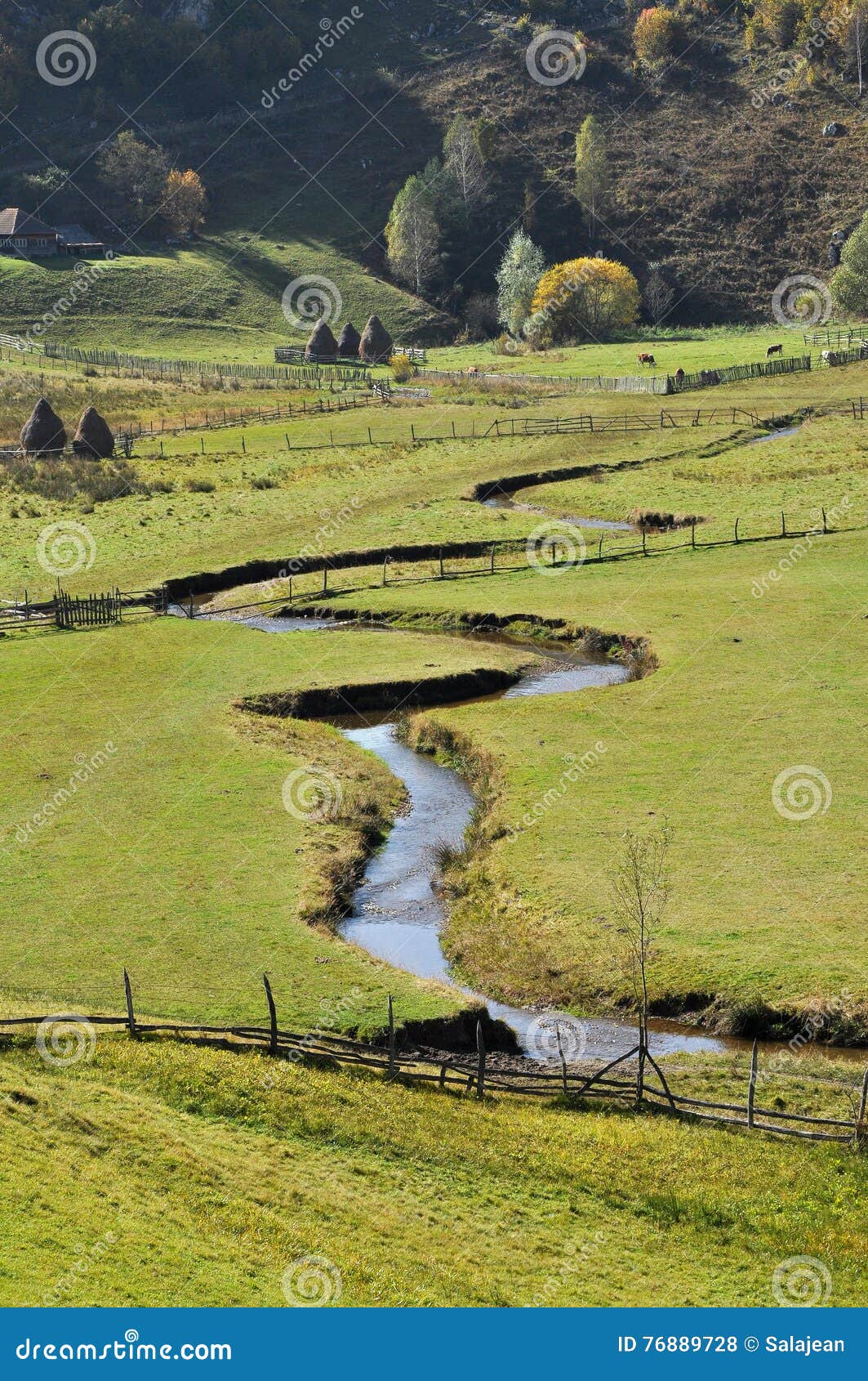 Meandering Watercourse in a Green Meadow Stock Photo - Image of ...