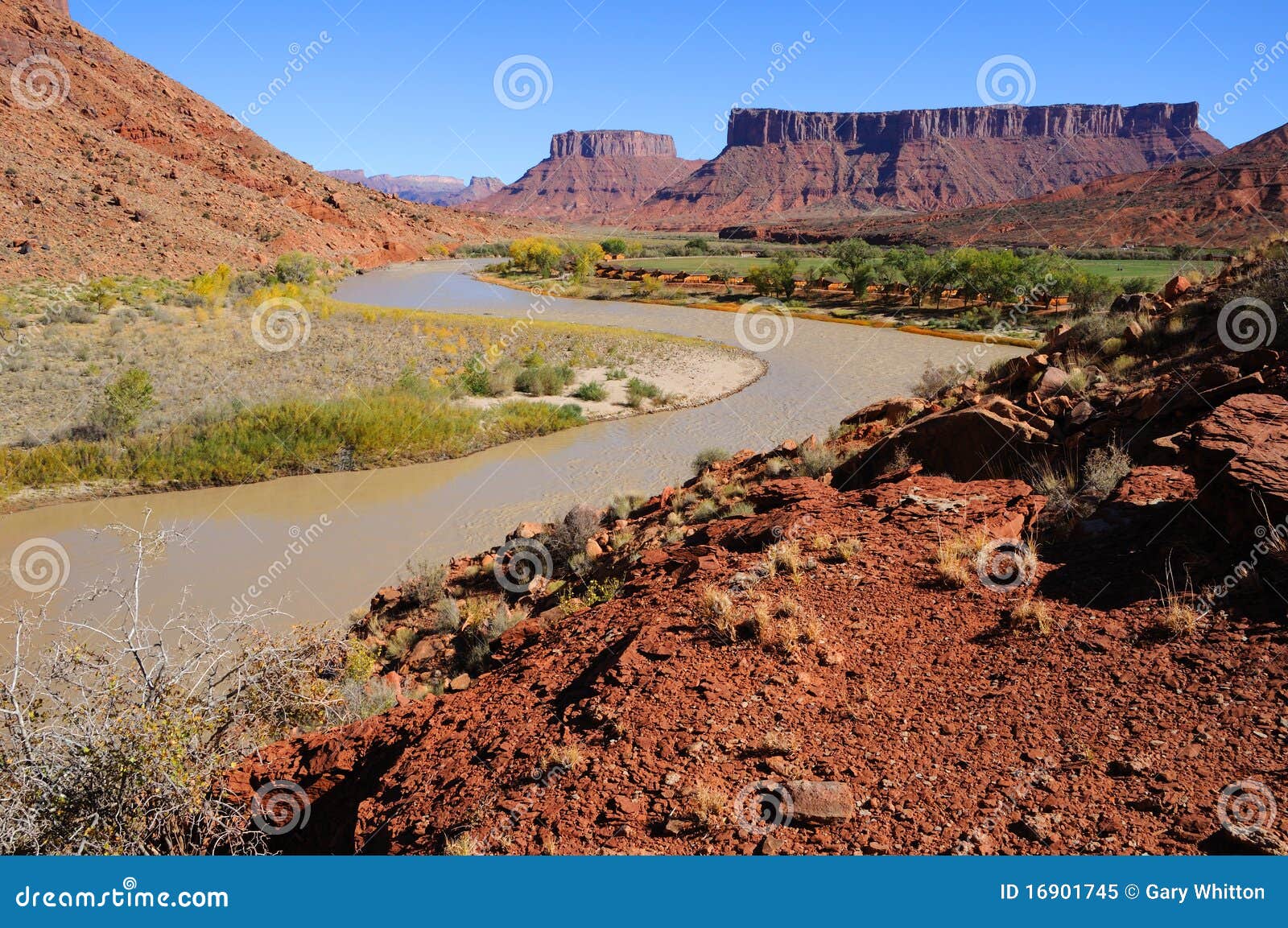Meandro En El Río De Colorado Imagen de archivo - Imagen de curva ...