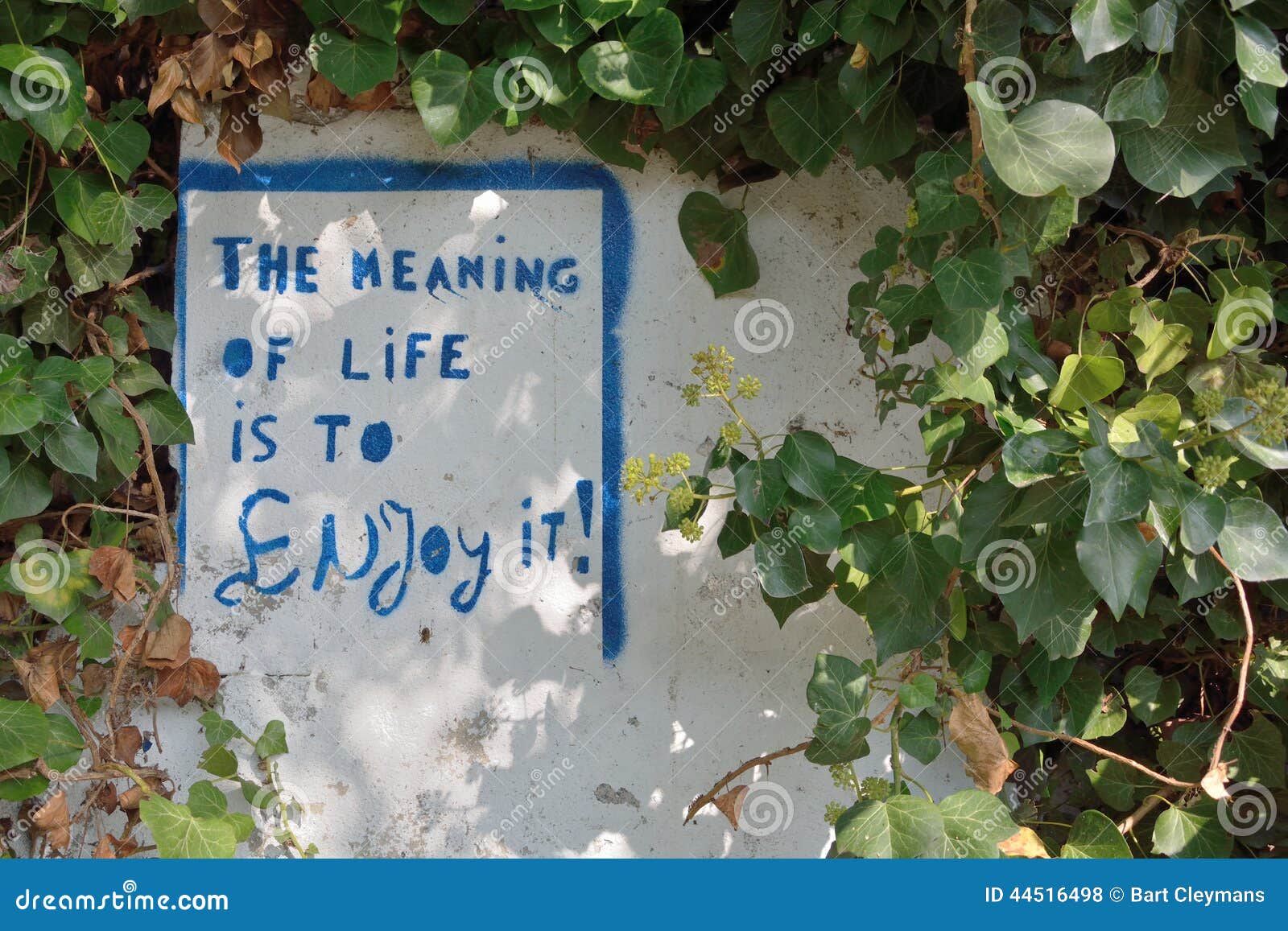 The Meaning of Life is To Enjoy it Stock Photo - Image of green ...