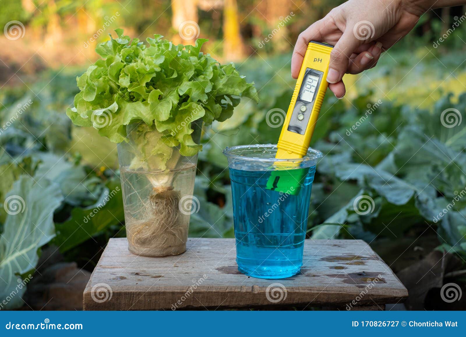 2,574 Neutral Liquid Photos - Free & Royalty-Free Stock Photos from ...