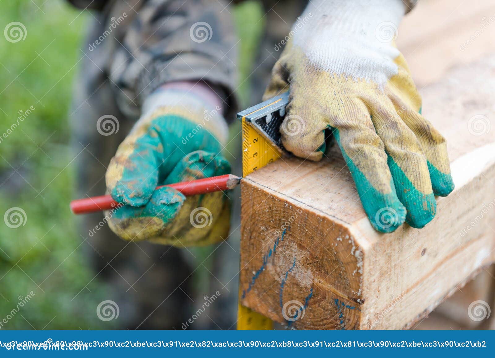 Measure with a Ruler on the Tree. Measure the Distance with a Ruler ...