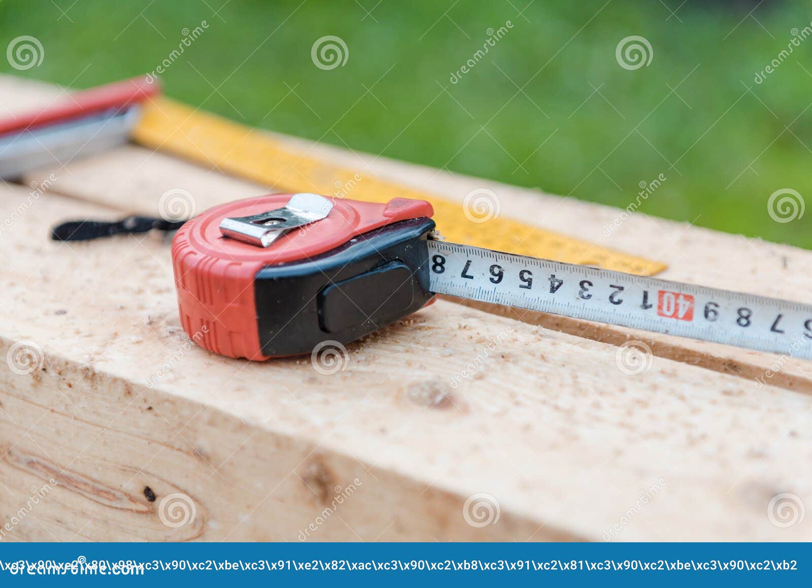 Measure with a Ruler on the Tree. Measure the Distance with a Ruler ...