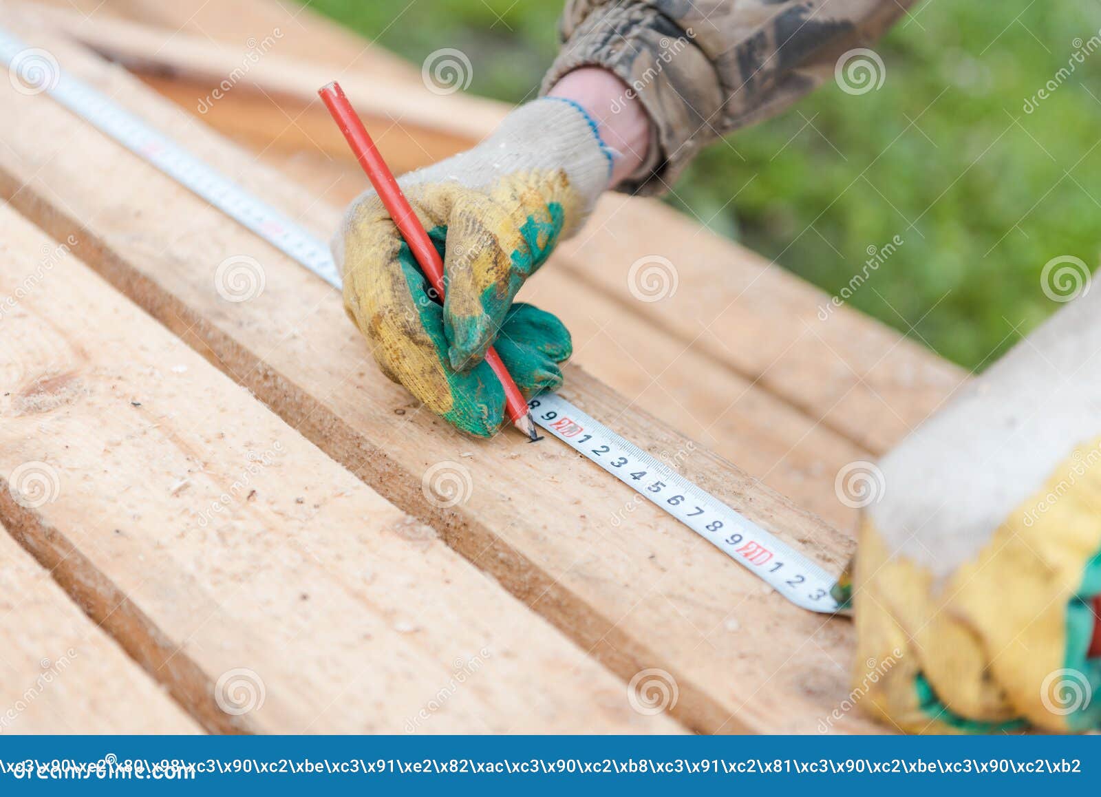 Measure with a Ruler on the Tree. Measure the Distance with a Ruler ...