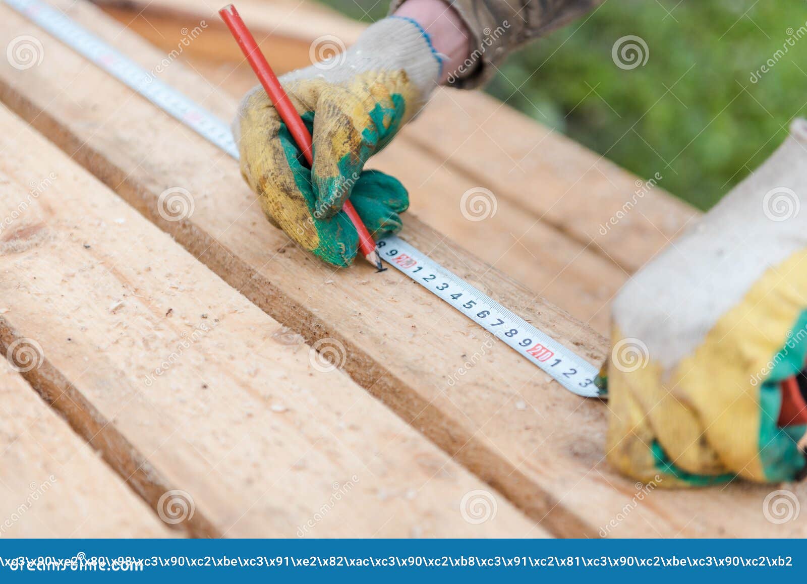 Measure with a Ruler on the Tree. Measure the Distance with a Ruler ...