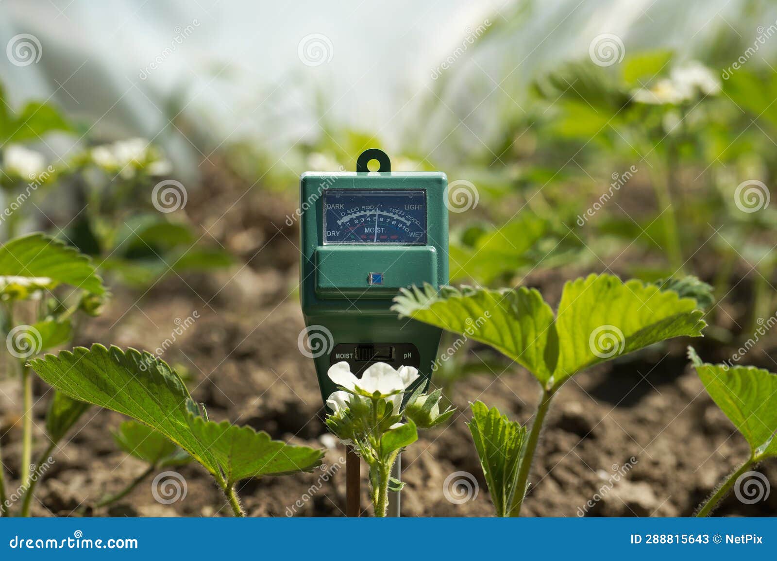Measure Soil with Three Way Digital Device Stock Image - Image of ...