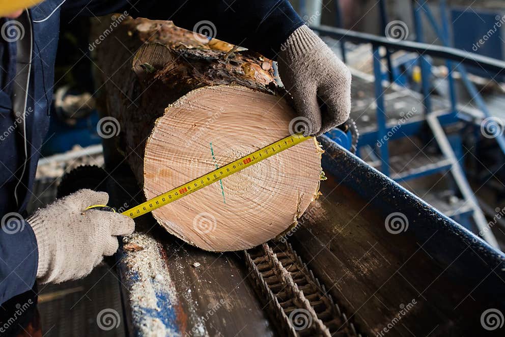 Measure tree s diameter stock image. Image of material - 68065829