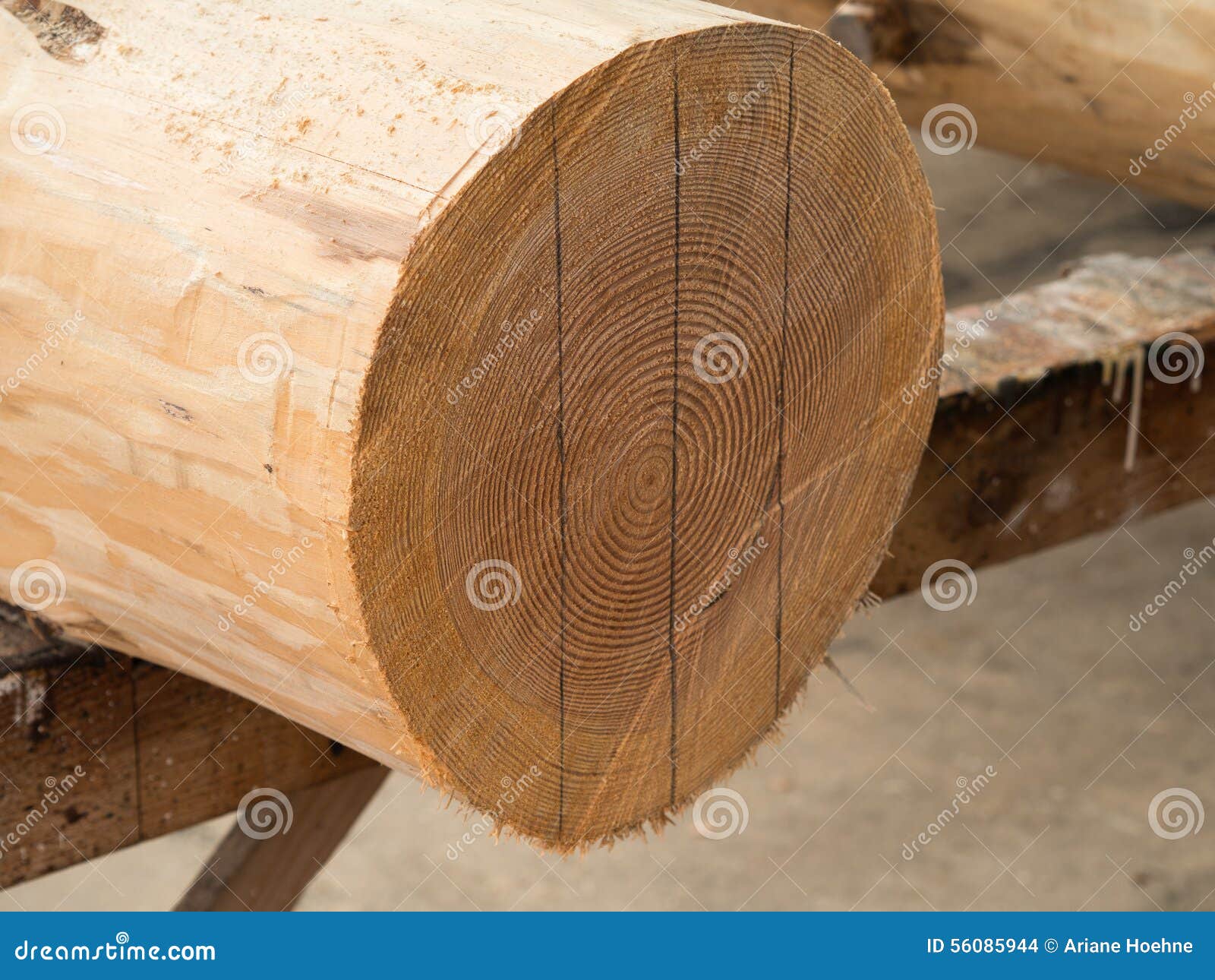 Measured Wood Logs with Lines Stock Photo - Image of natural, logs ...