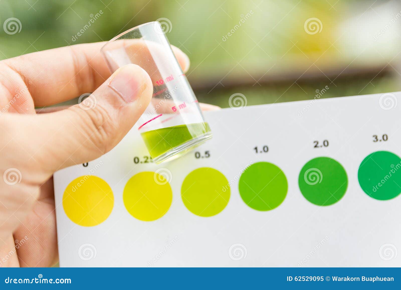 Measurement of Ammonia in Water Stock Image - Image of laboratory ...