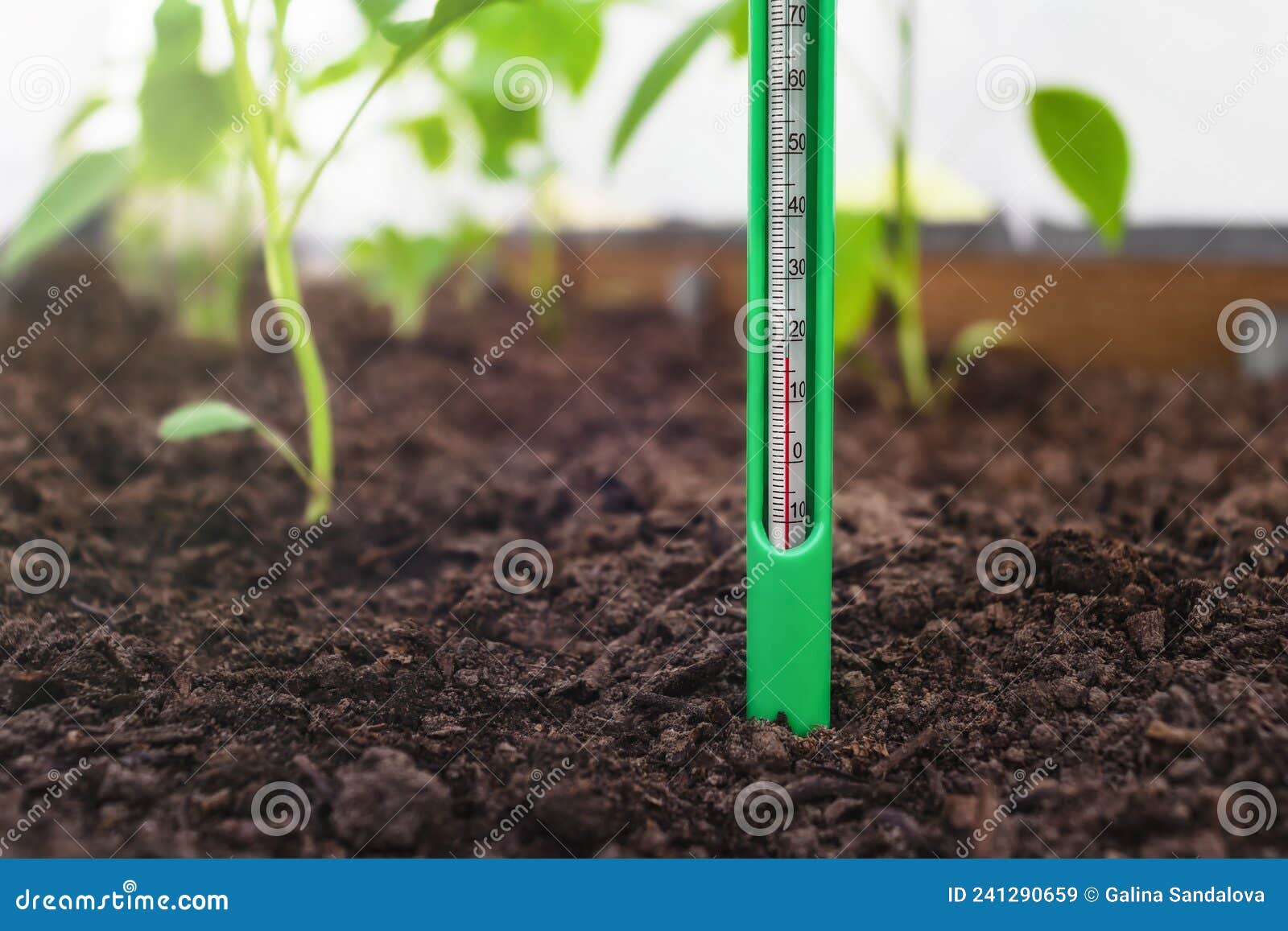 Soil Temperature In The Fahrenheit Scale, Moisture Content ...