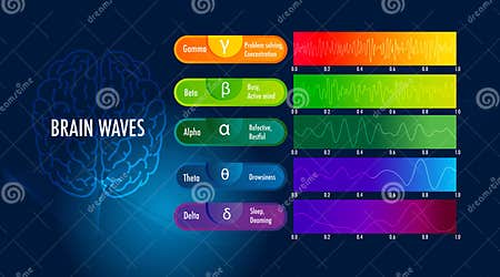 5 Brain Wave Chart on Blue Background Stock Image - Image of energy ...
