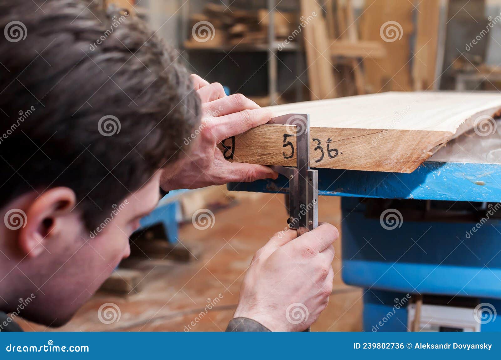 Measuring Board Thickness with a Caliper. Carpenter Working in ...