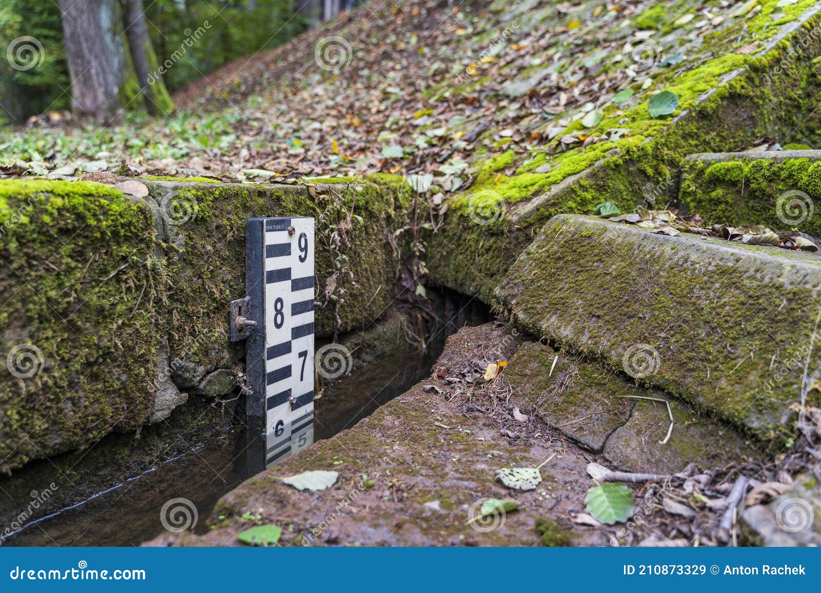 Measuring Depth in a Lake with a Ruler Stock Image - Image of river ...