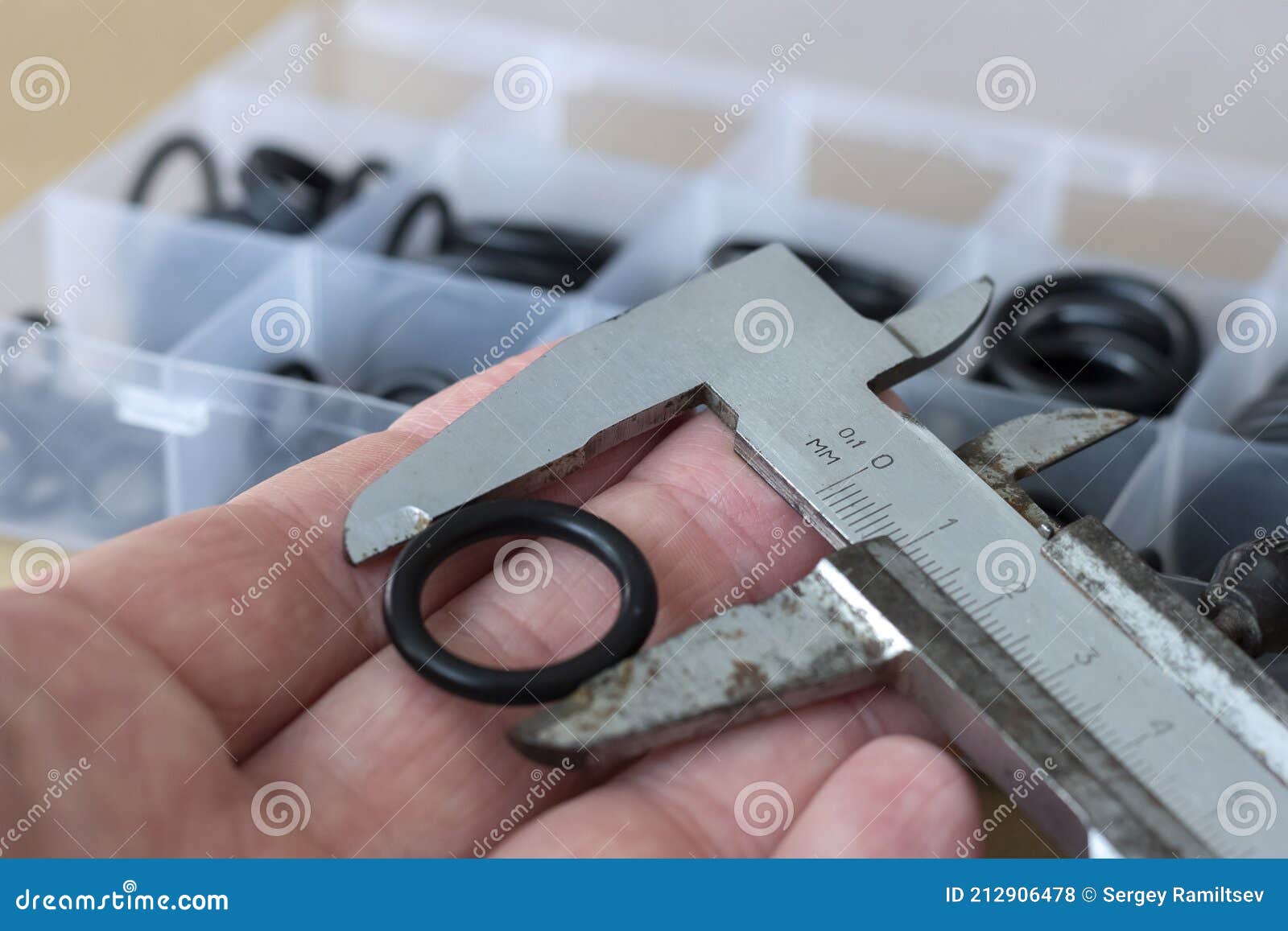 Measuring the Diameter of the Rubber O-ring with a Caliper. Stock Photo ...