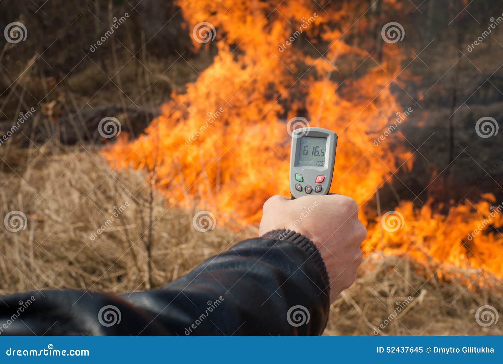 Measuring of Flame Temperature on the Forest Fire Stock Image - Image ...